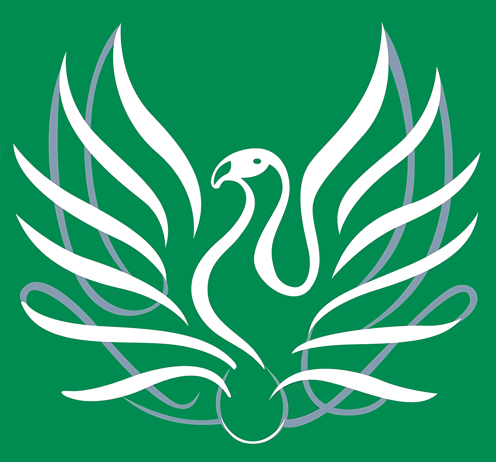 Meet the Committee - Phoenix Netball Club Townsville